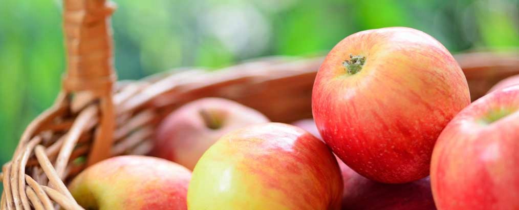 Appel gezond? Lees hier de 7 voordelen (#5 is verrassend)