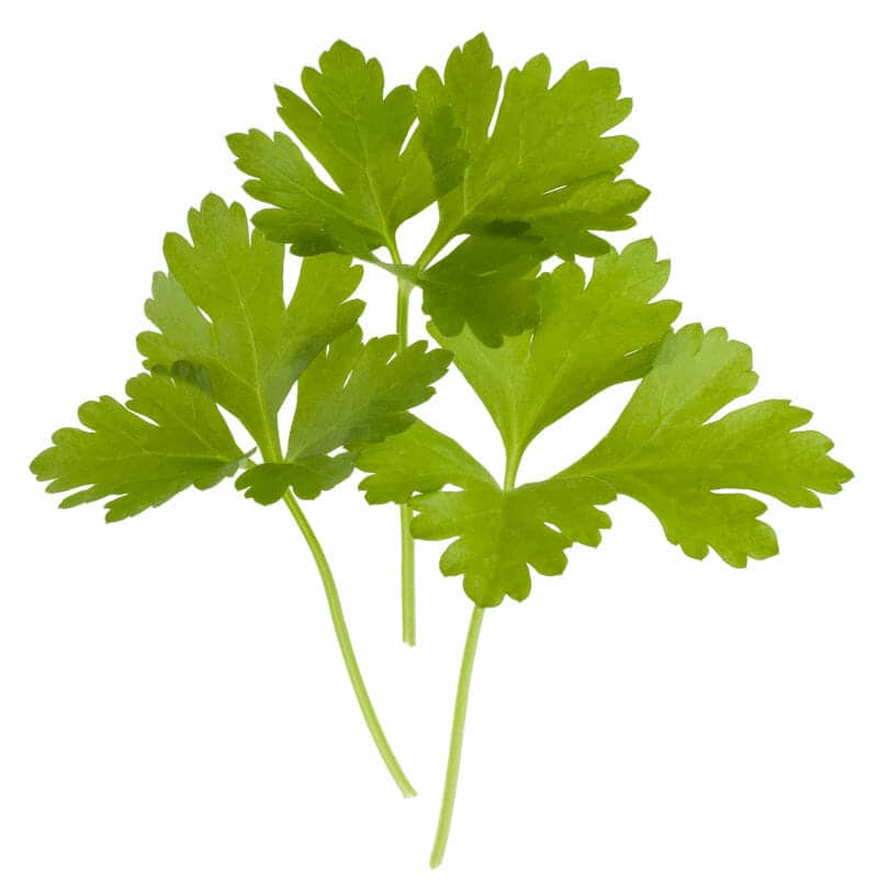 8 krachtige voordelen van peterselie (#3 en #6 zijn het leukst)