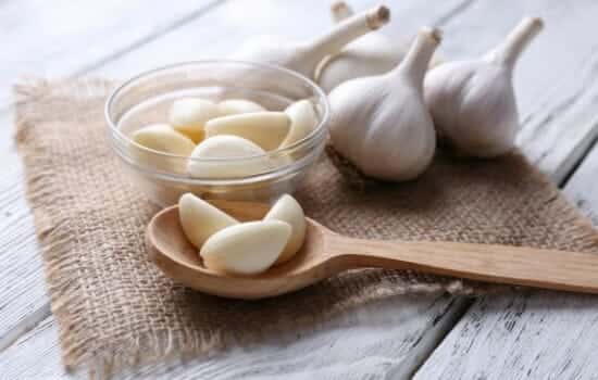 Onderzoek: knoflook sterker dan 2 soorten antibiotica's bij ...