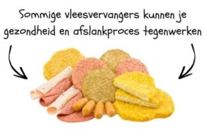 Gezonde vleesvervangers | Dit zijn de 11 beste producten